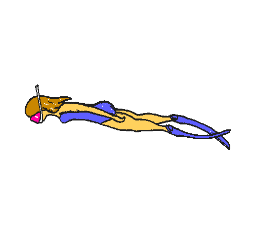 Nathan J. Penn on Skin Diving